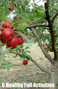 Healthy Fall Activities for Adults